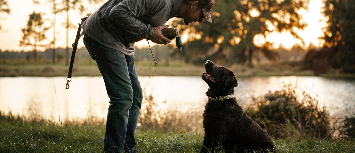 For the Dog – Over Under Clothing